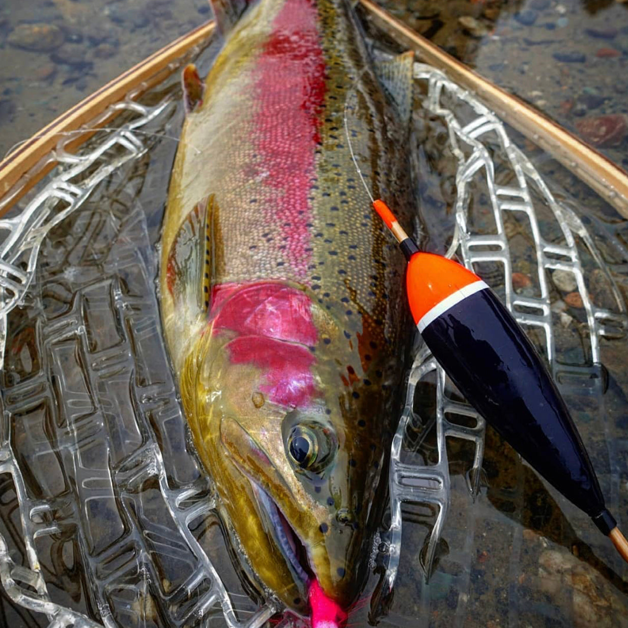 Tear Drop Fixed Peg Float – Top Shelf Premium Floats